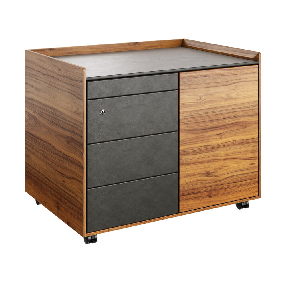 Pisa Desk Pedestal Storage Unit by Team 7 - Dimensiva | 3d design model